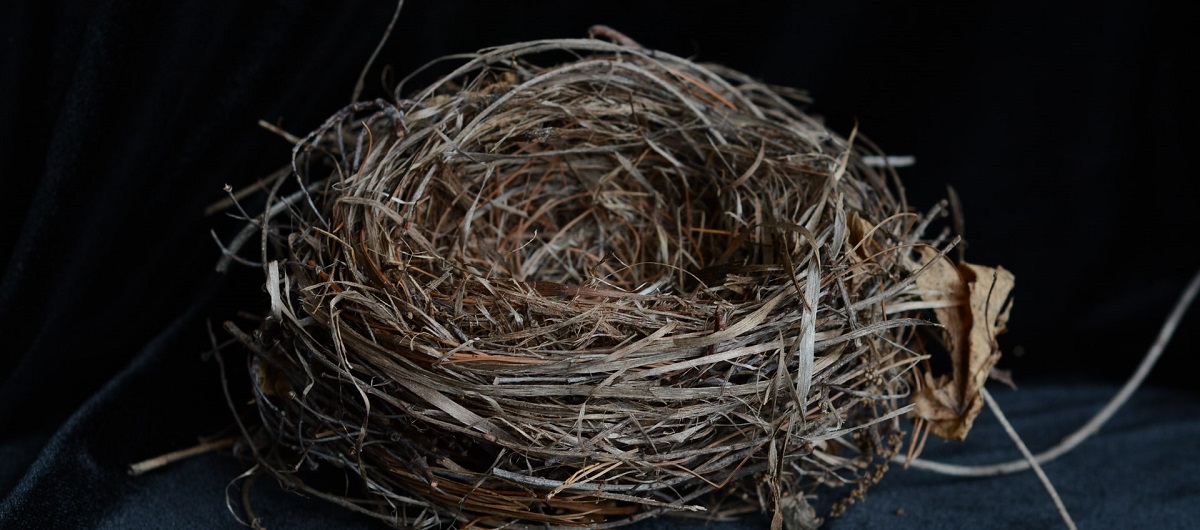 How to Create Rich API’s Using RAML | The Mule Whisperer